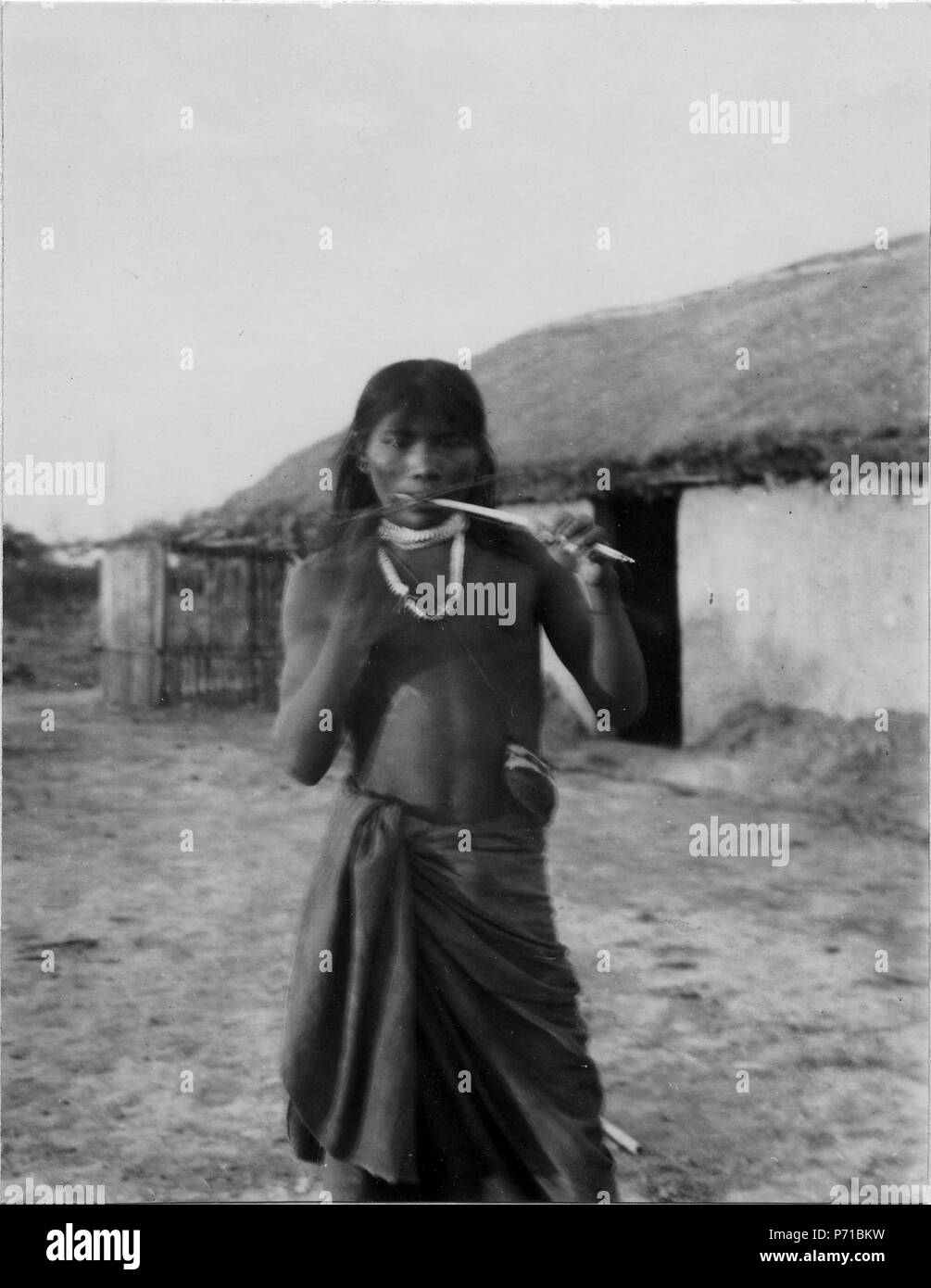 Gran chaco bolivia hi-res stock photography and images - Alamy