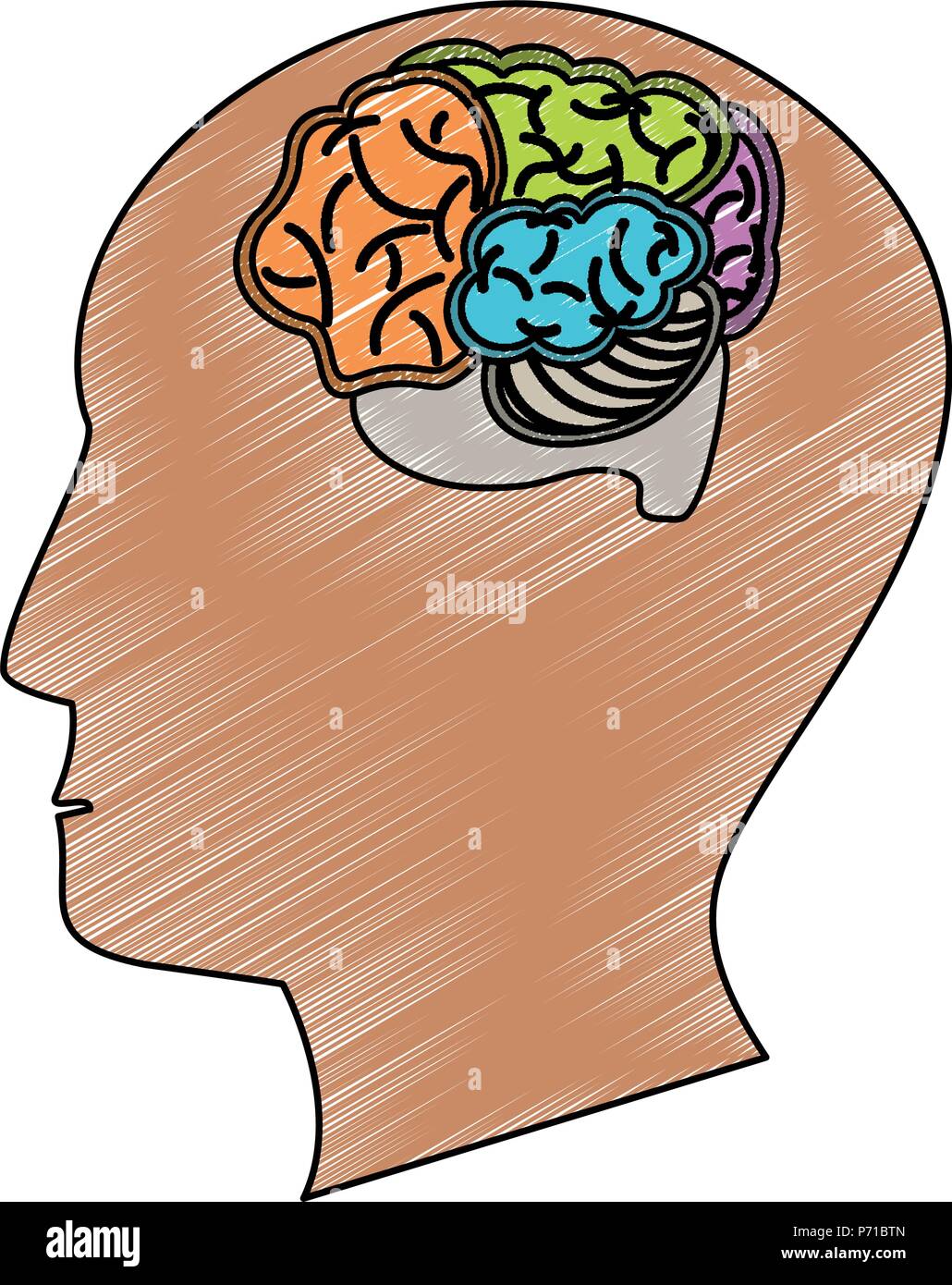 Brain hemispheres cartoon scribble Stock Vector Image & Art - Alamy