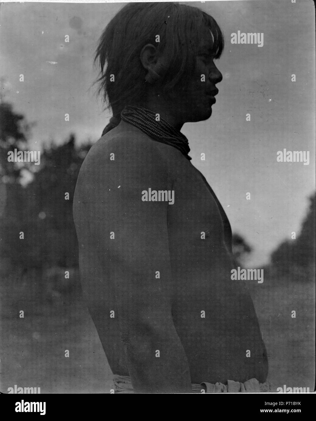 Gran chaco bolivia hi-res stock photography and images - Alamy