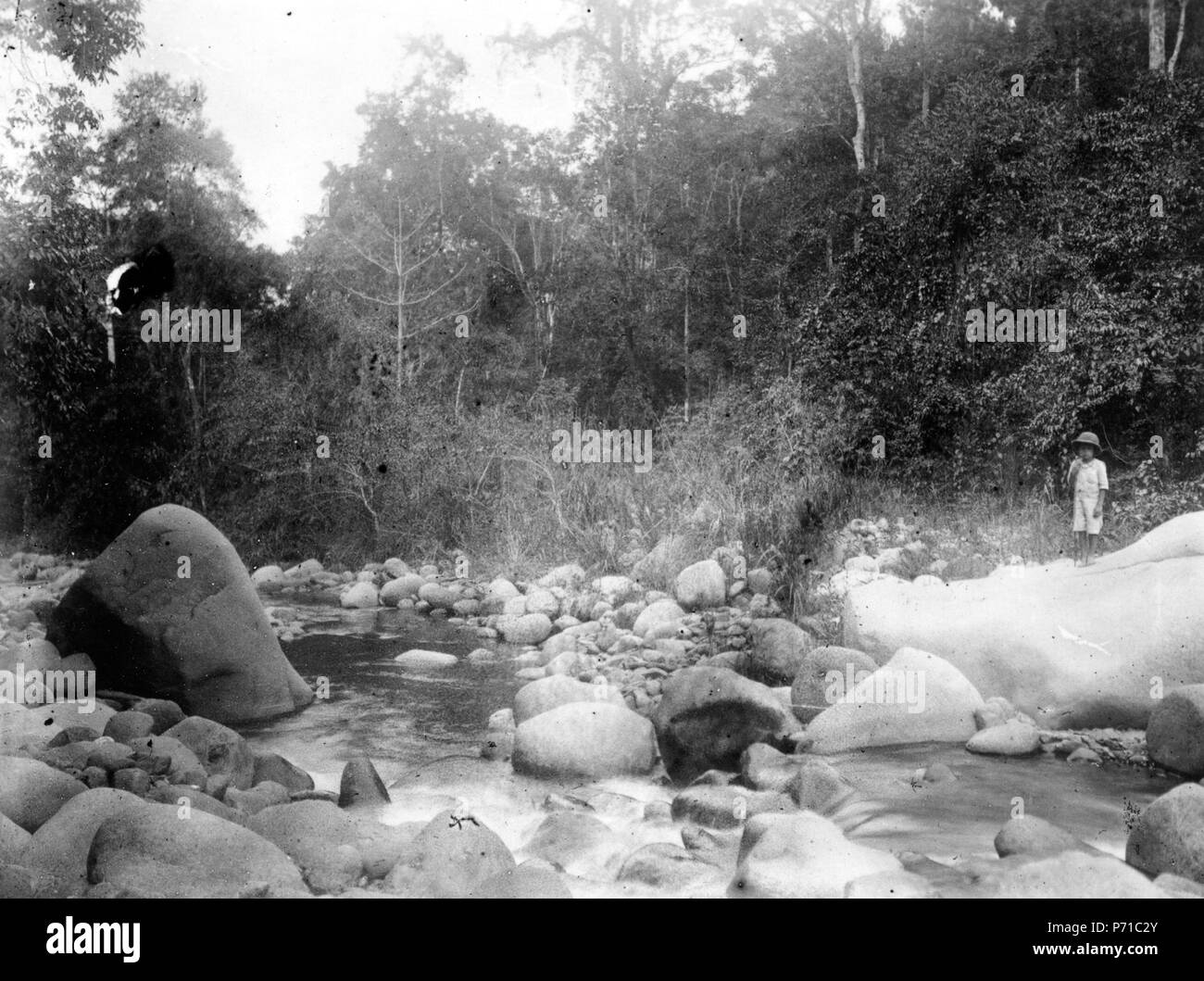 Makaj hi-res stock photography and images - Alamy