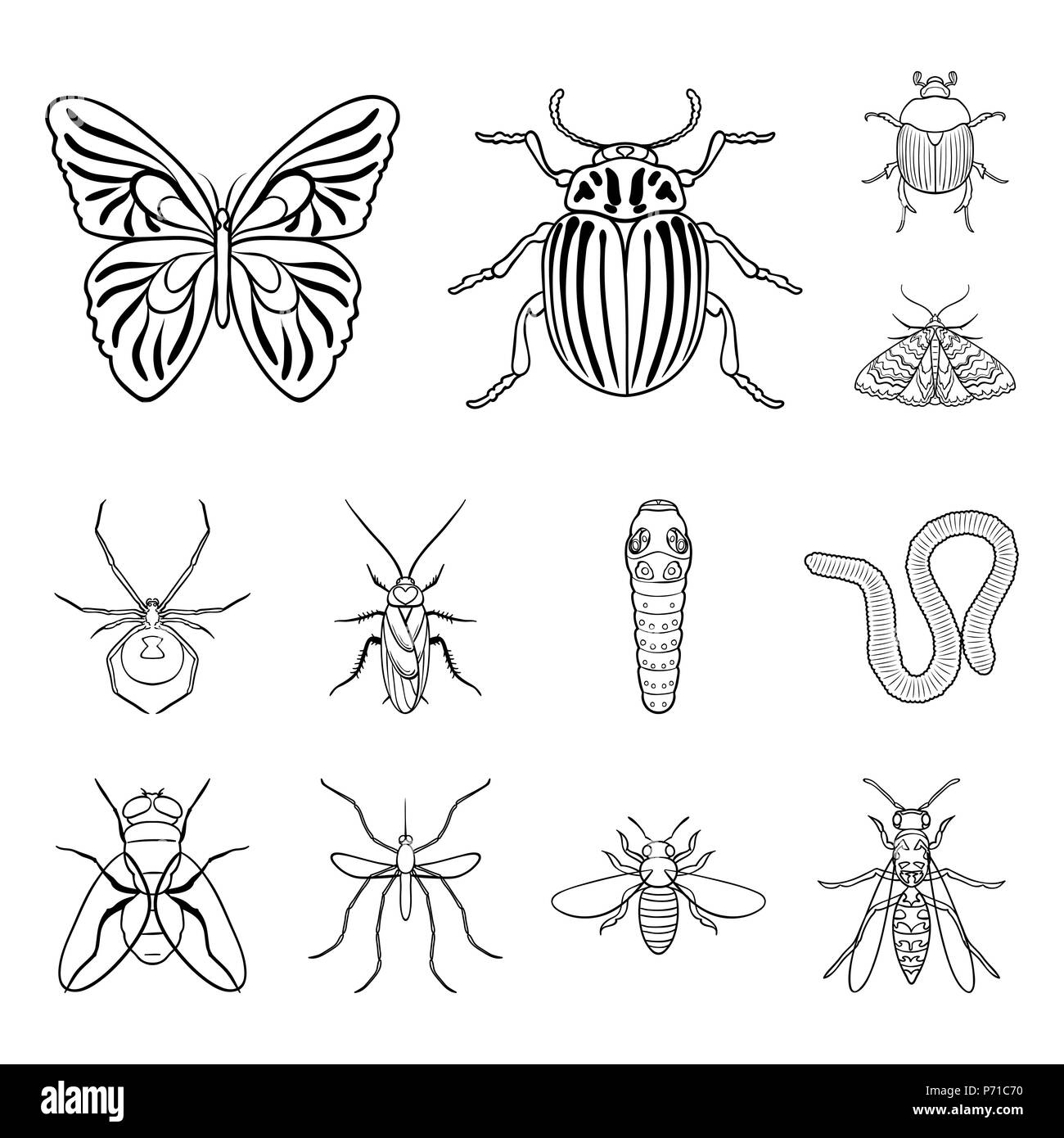 Different kinds of insects outline icons in set collection for design ...