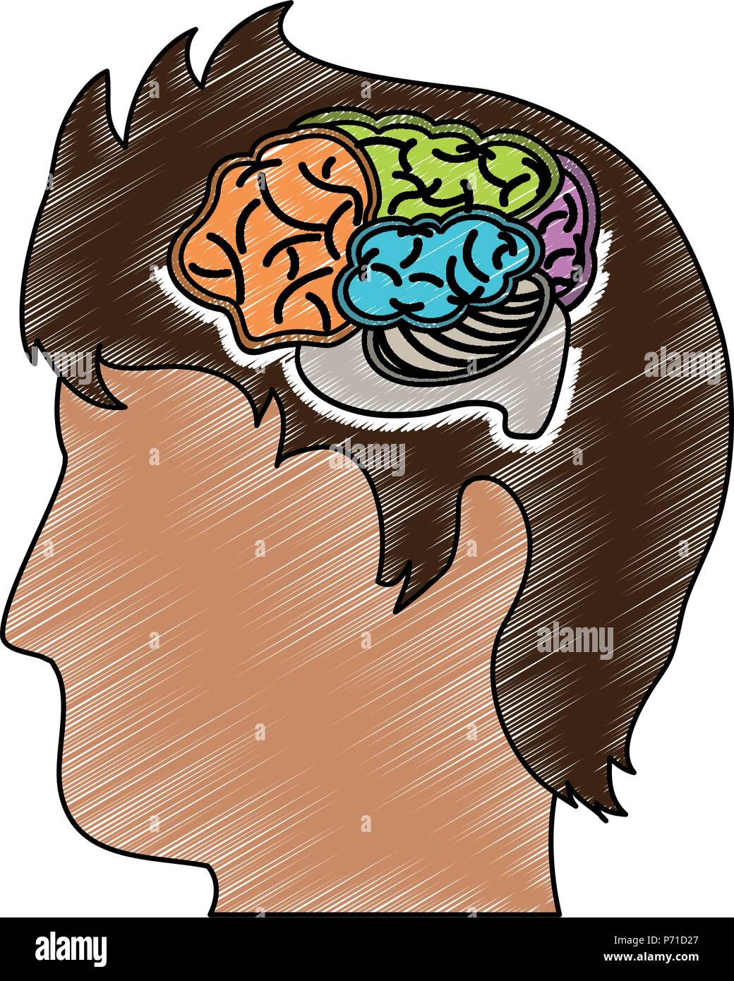 Brain hemispheres cartoon scribble Stock Vector Image & Art - Alamy