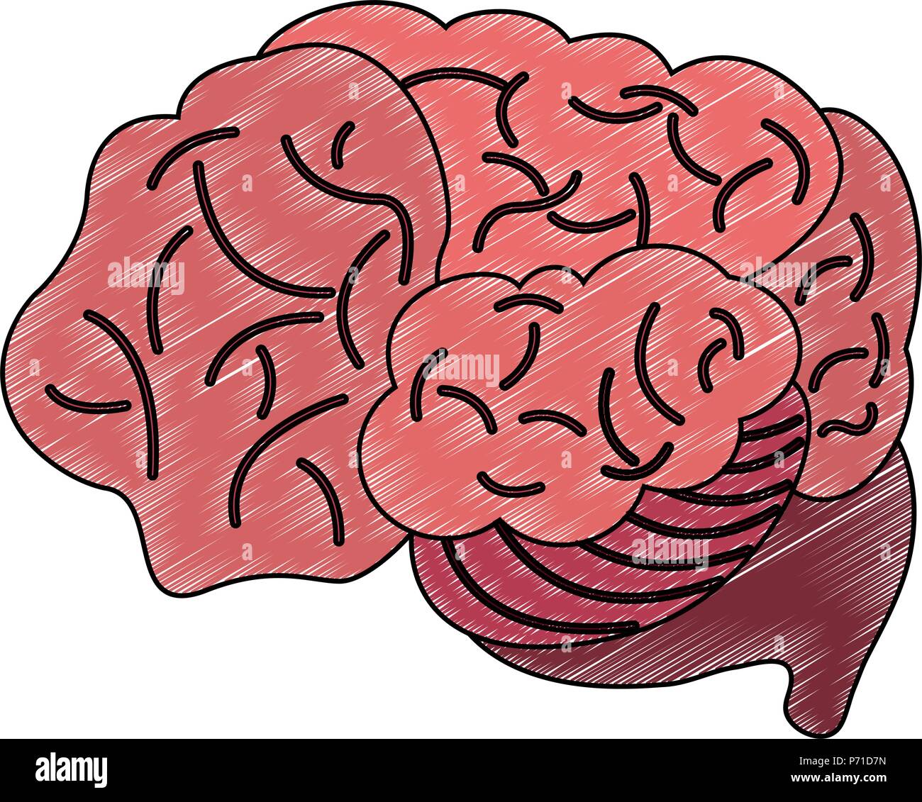 Human brain cartoon scribble Stock Vector Image & Art - Alamy