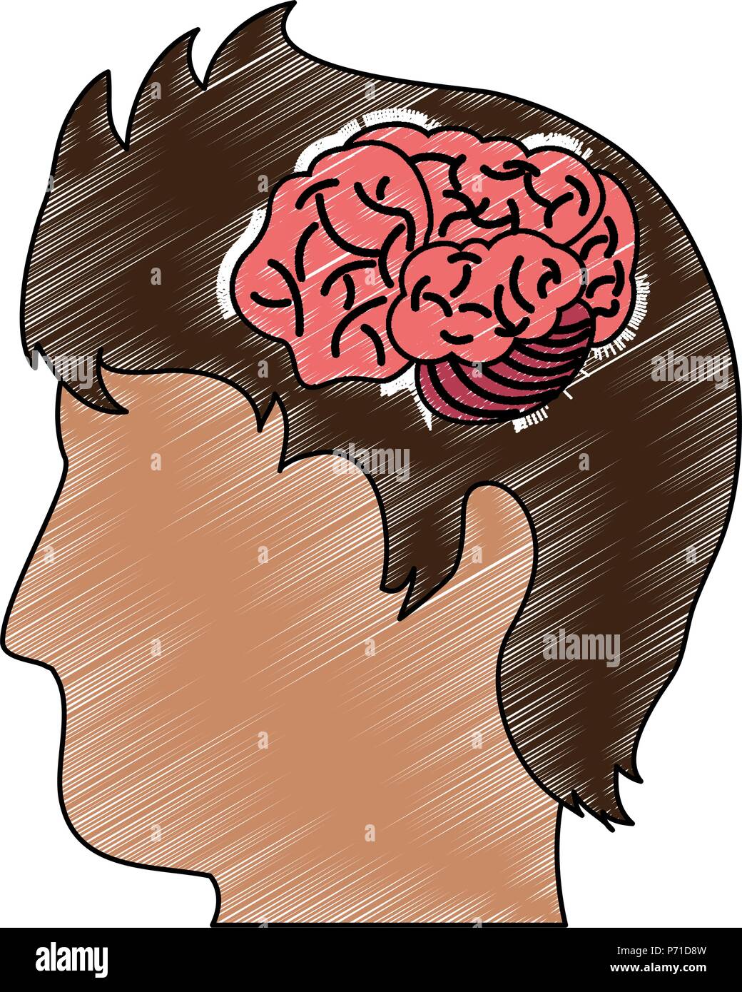 Human brain on head scribble Stock Vector Image & Art - Alamy