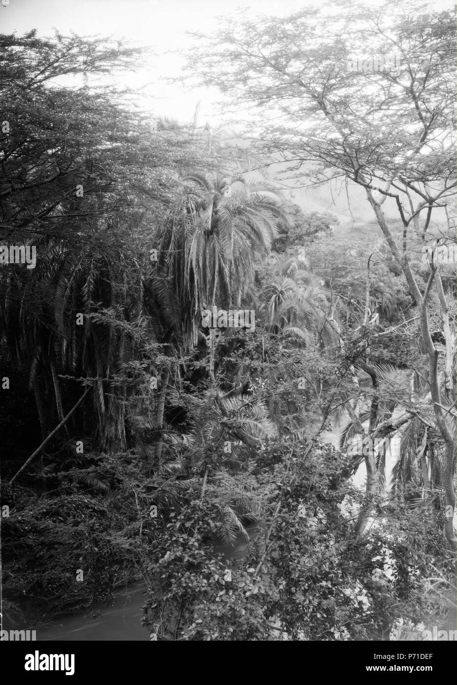 Makungu hi-res stock photography and images - Alamy