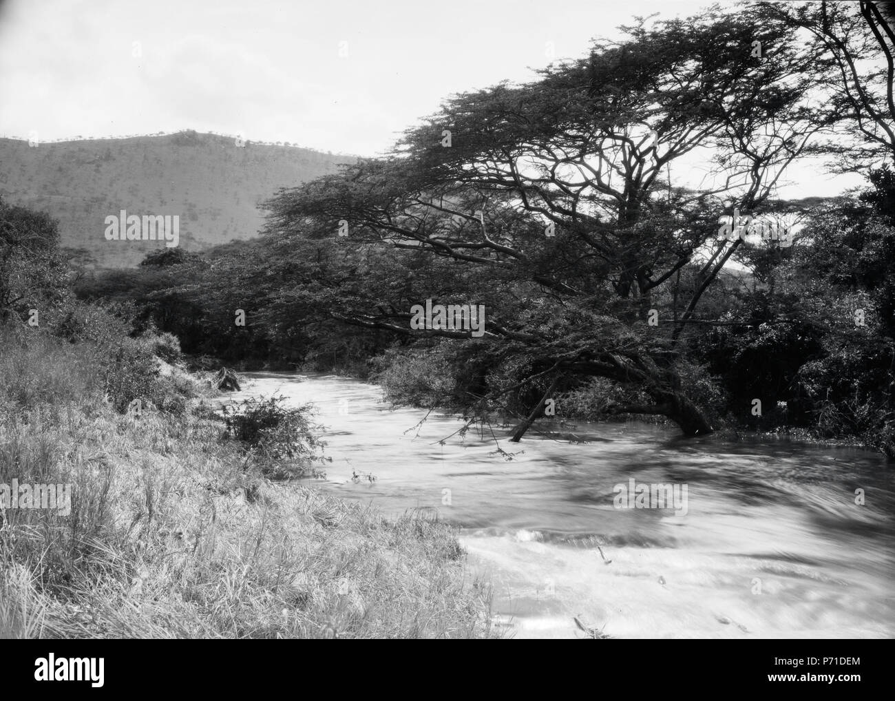 Makungu hi-res stock photography and images - Alamy