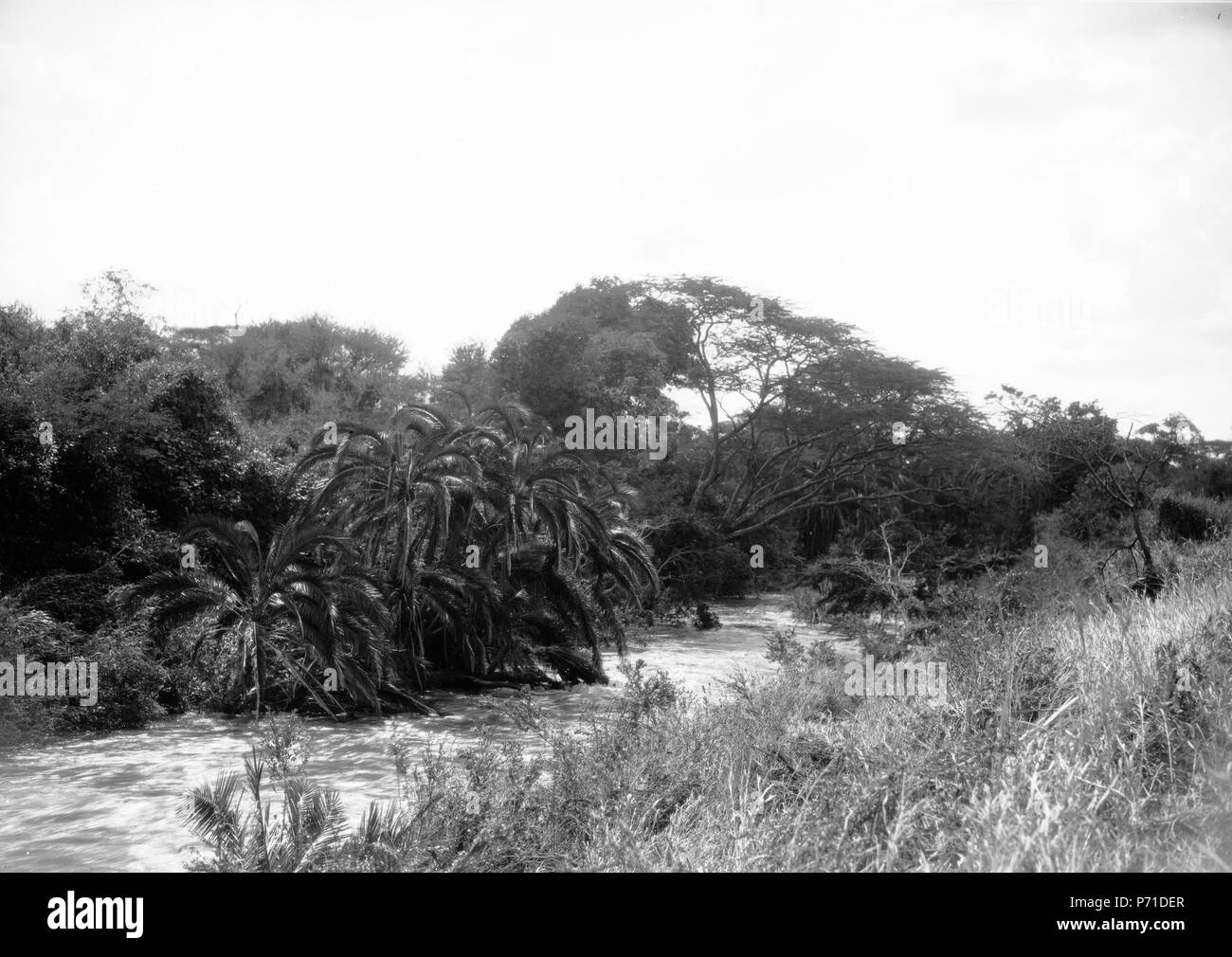 Makungu hi-res stock photography and images - Alamy