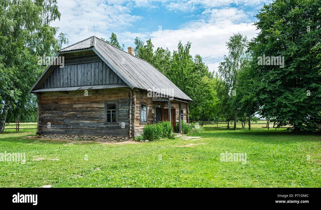 Rural architecture. An old rural house made of logs, grass grows around ...
