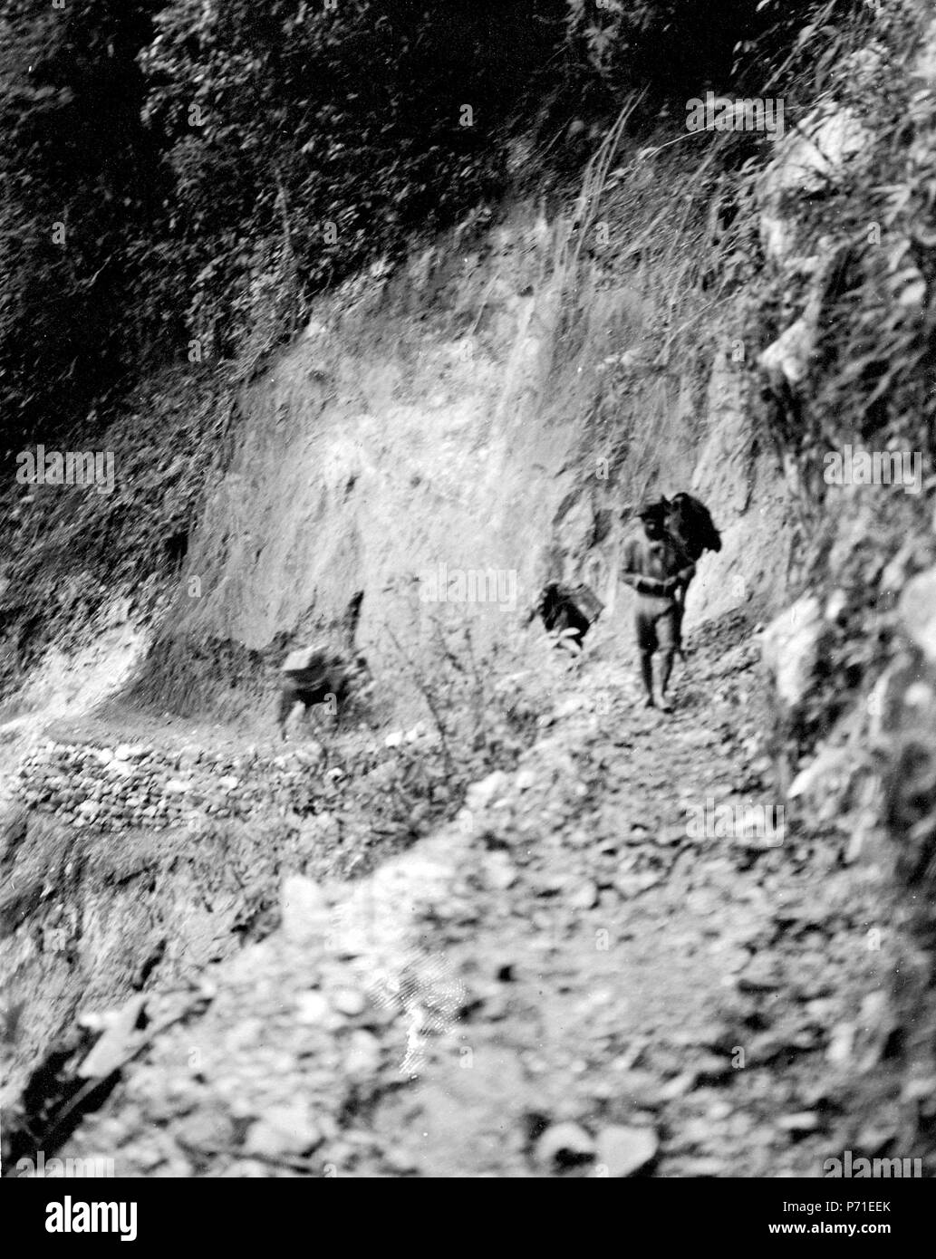 Chapare bolivia hi-res stock photography and images - Alamy