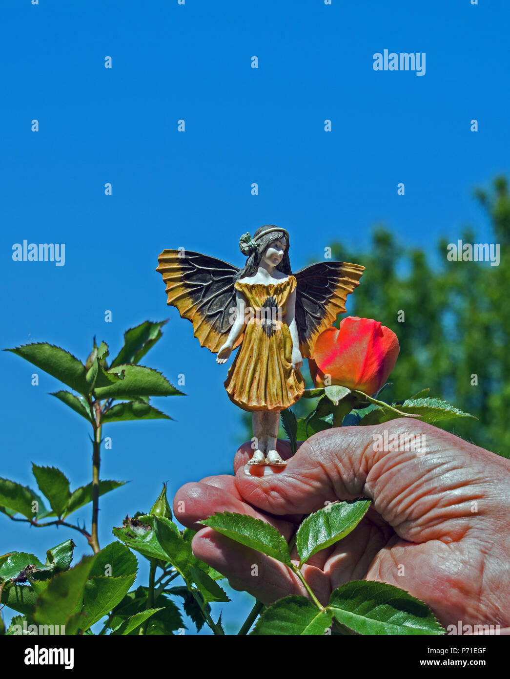 Human fae hi-res stock photography and images - Alamy