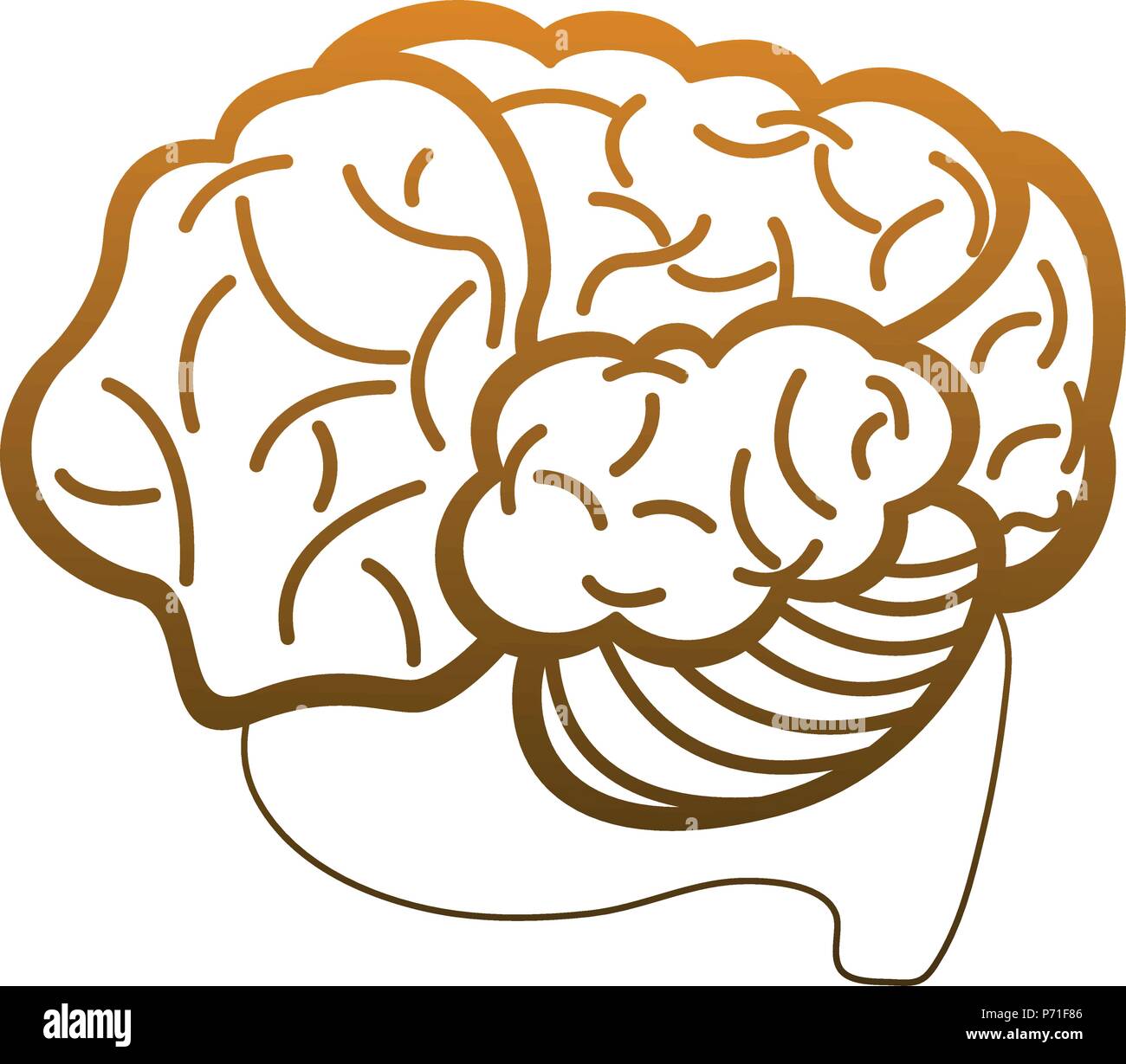 Brain hemispheres cartoon in yellow lines Stock Vector Image & Art - Alamy