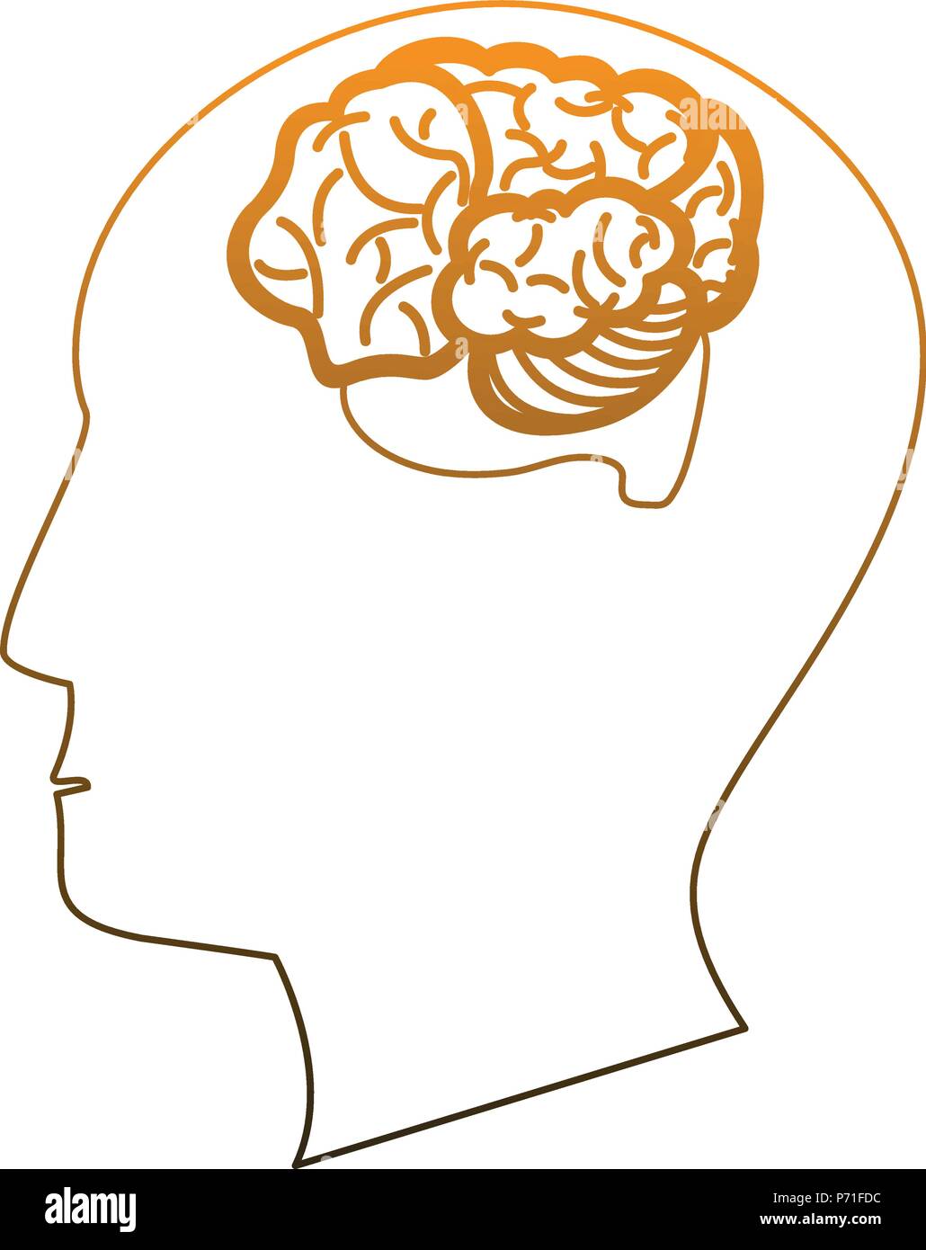 Brain hemispheres cartoon in yellow lines Stock Vector Image & Art - Alamy