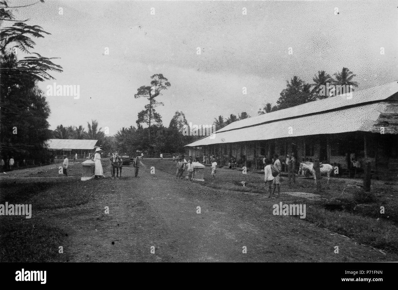 14 Gatubild. Kabupaten Bolaang Mongondow, Sulawesi. Indonesien - SMVK ...