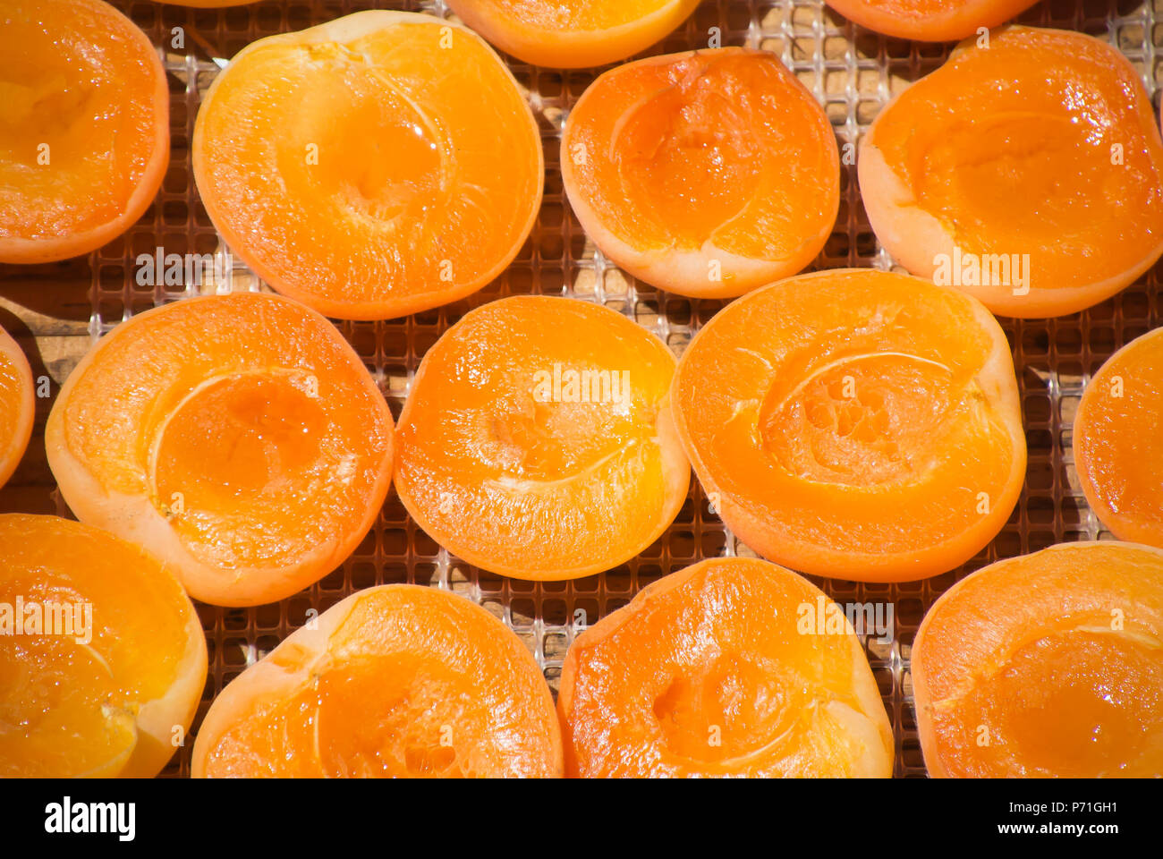 Drying Of Apricots at James Ivery blog