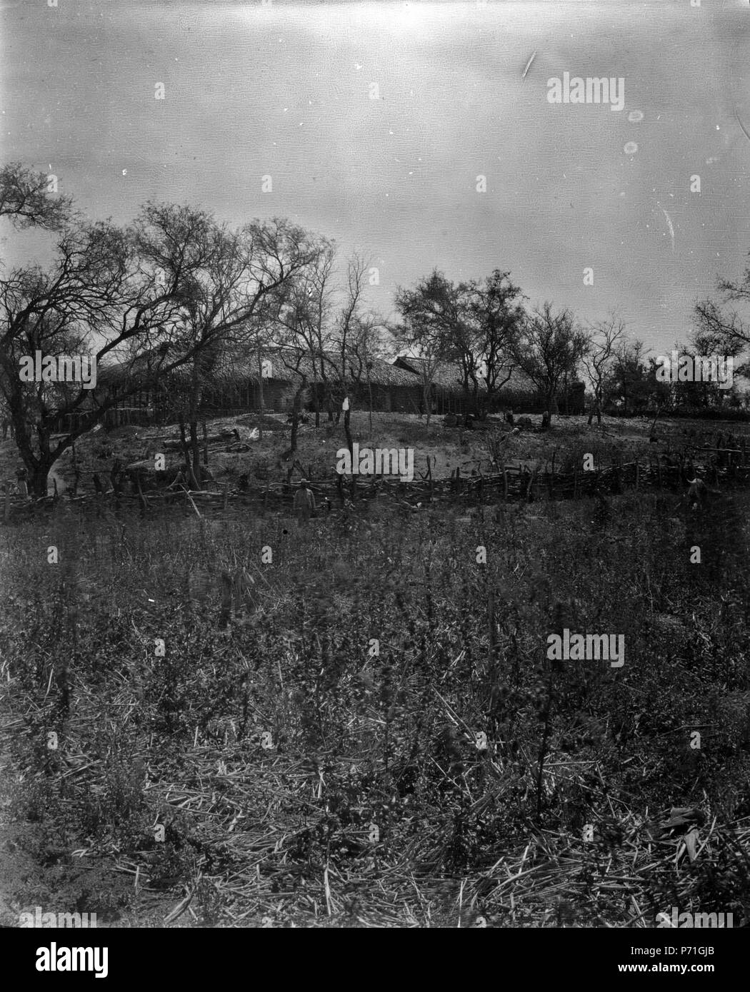 Parapeti hi-res stock photography and images - Alamy