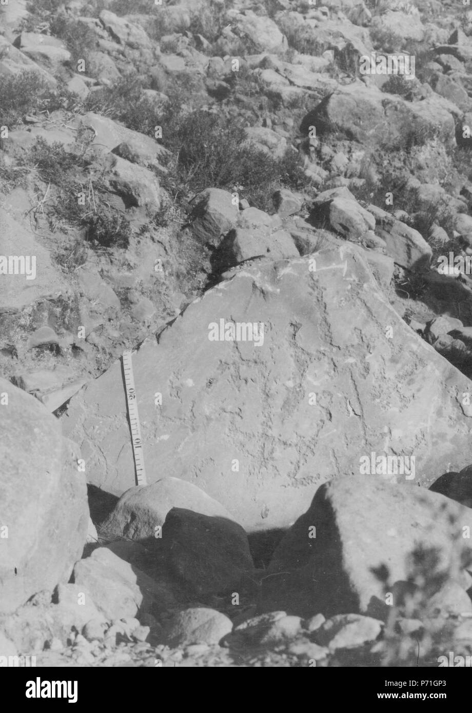 Ostra stranden hi-res stock photography and images - Alamy