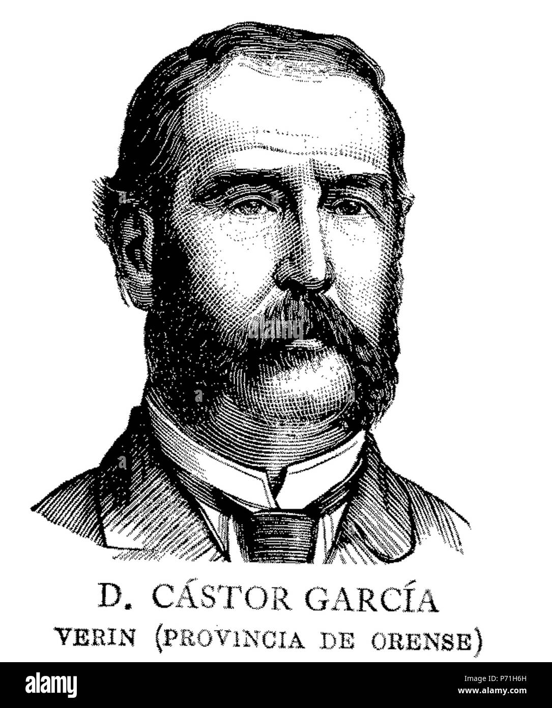 Castor Black and White Stock Photos & Images - Alamy