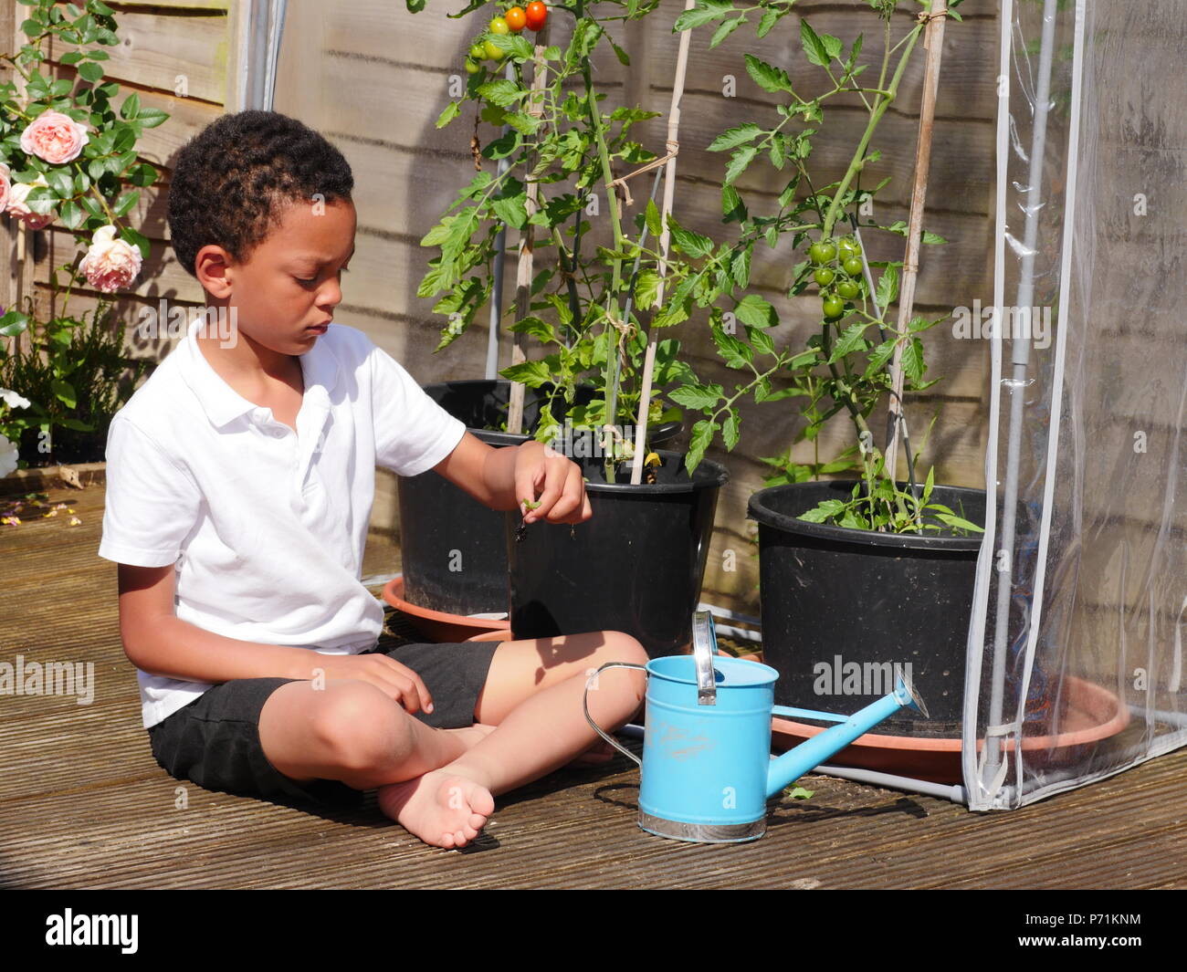 Weeding plants hi-res stock photography and images - Alamy