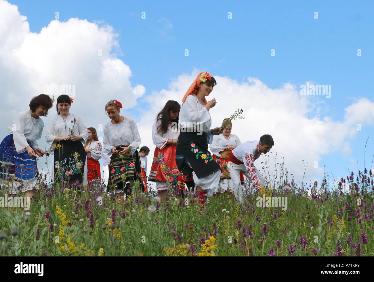 People in traditional authentic folklore costume pick herbs on the day ...