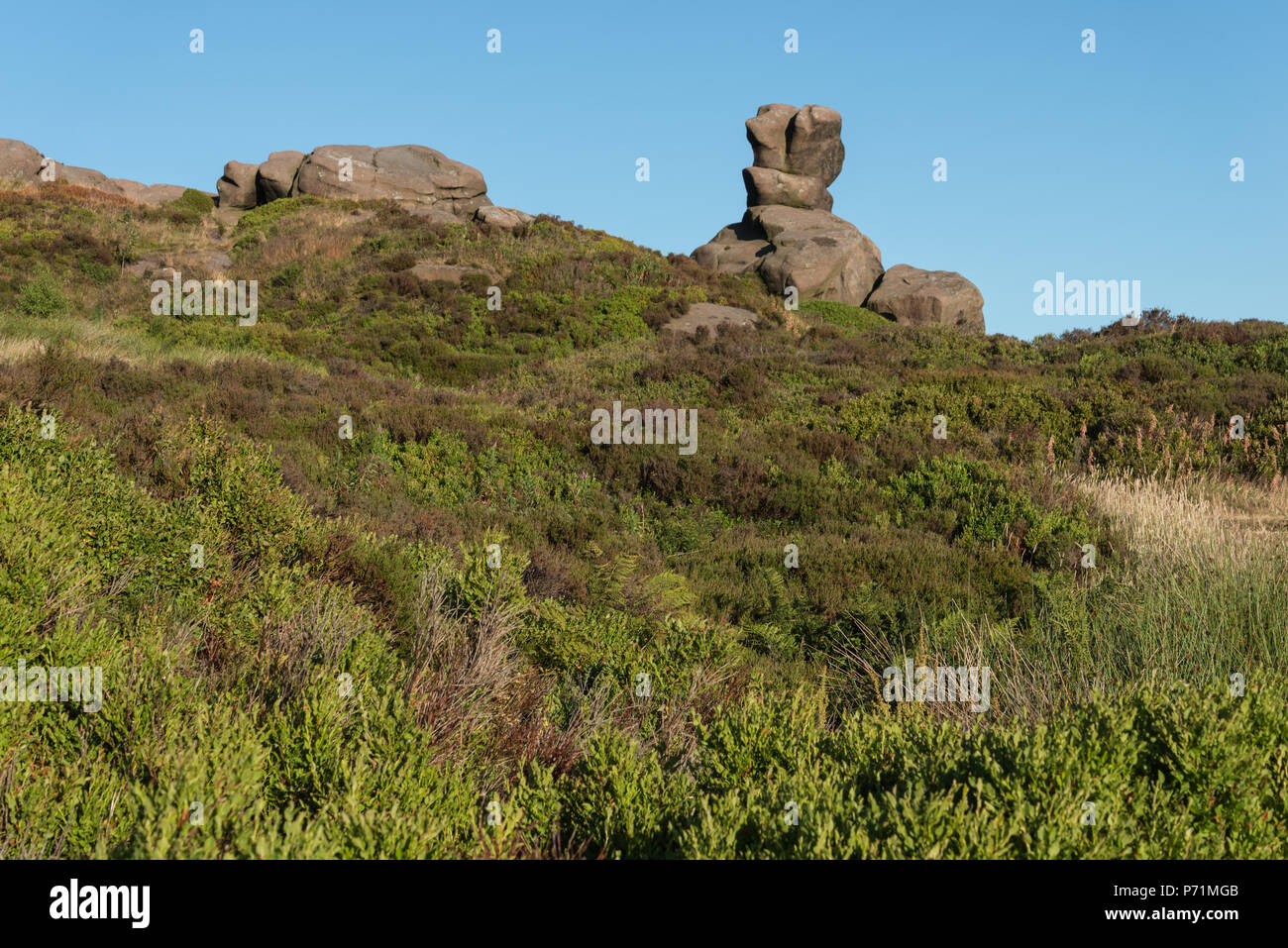 Moorland rock grass hi-res stock photography and images - Alamy