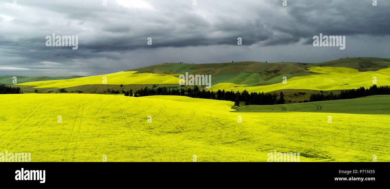 0033 hi-res stock photography and images - Alamy