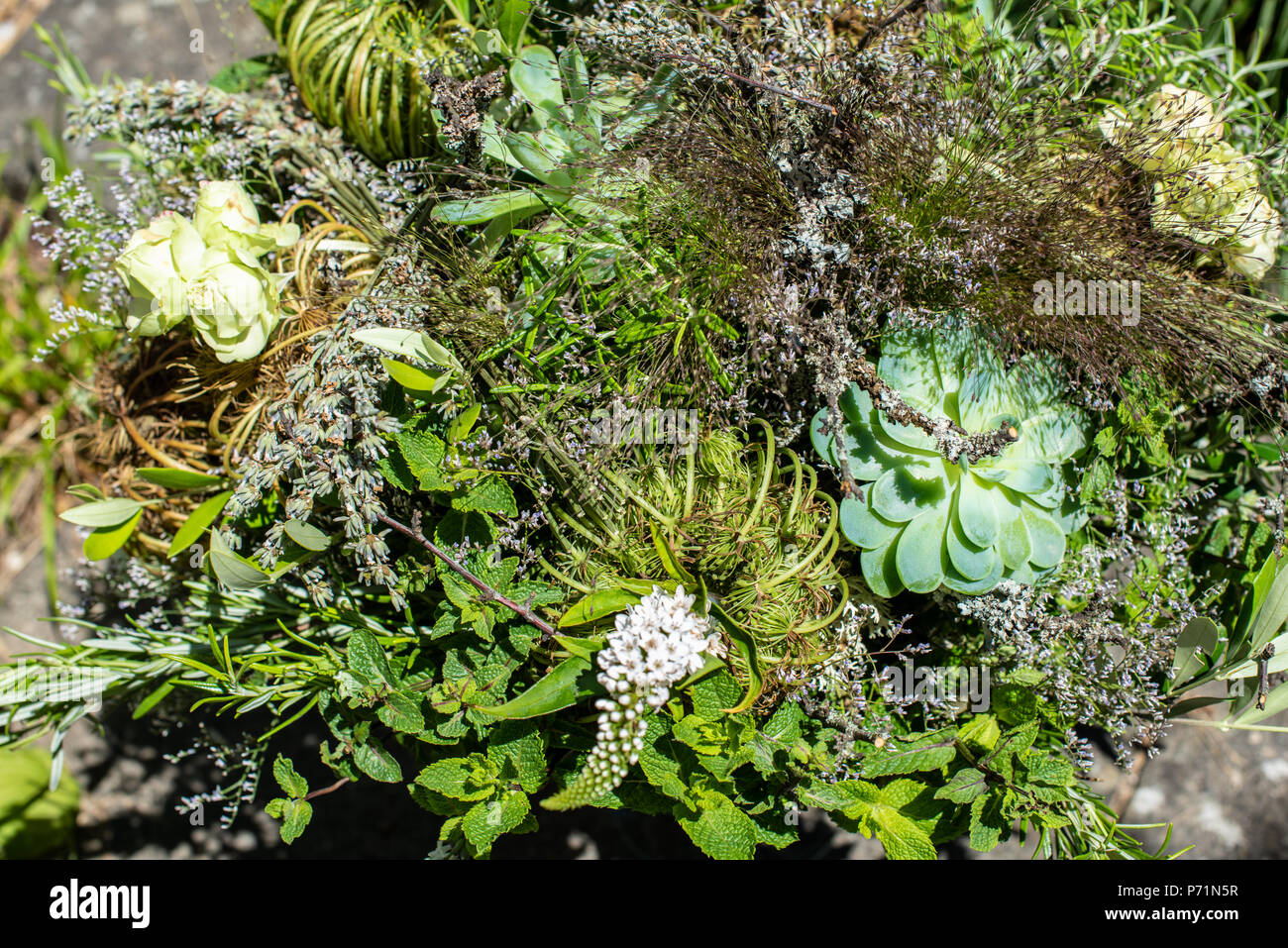 Creative bouquet of fresh flowers with spices and herbs like lavender ...