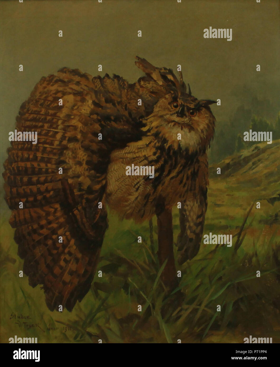 Trsek hi-res stock photography and images - Alamy