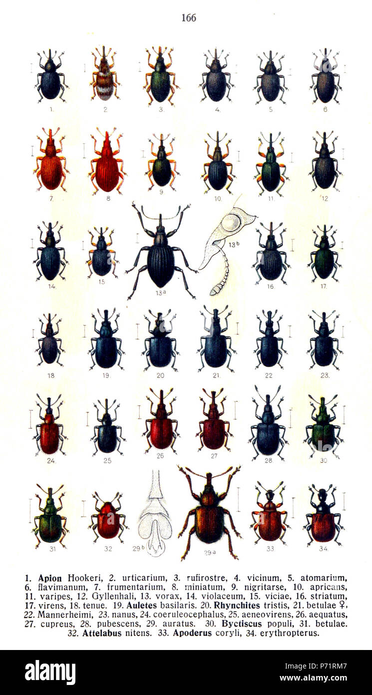 Non sic hi-res stock photography and images - Alamy