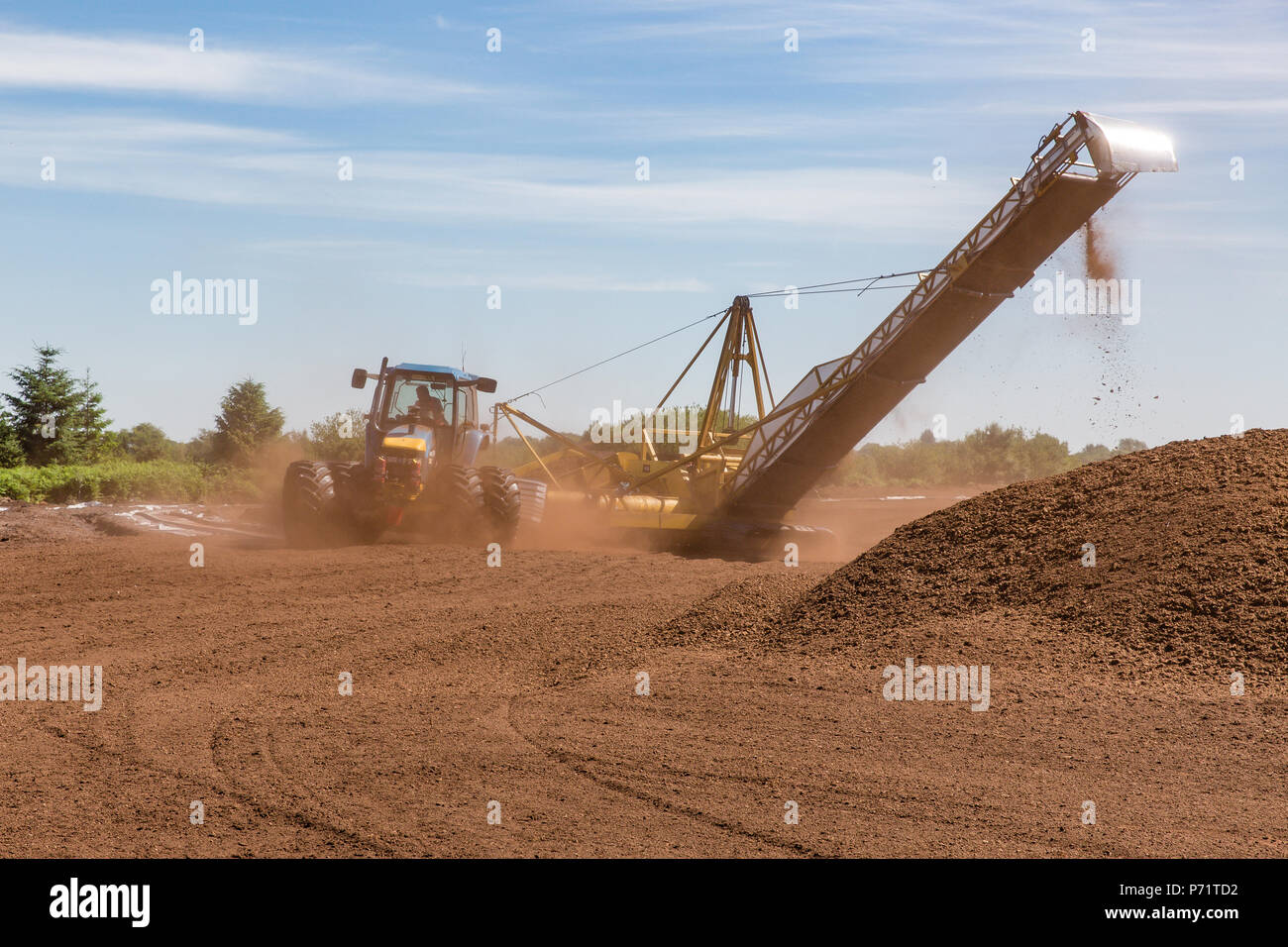 Agricultural tractor with harvester stockpiling loose milled peat ...