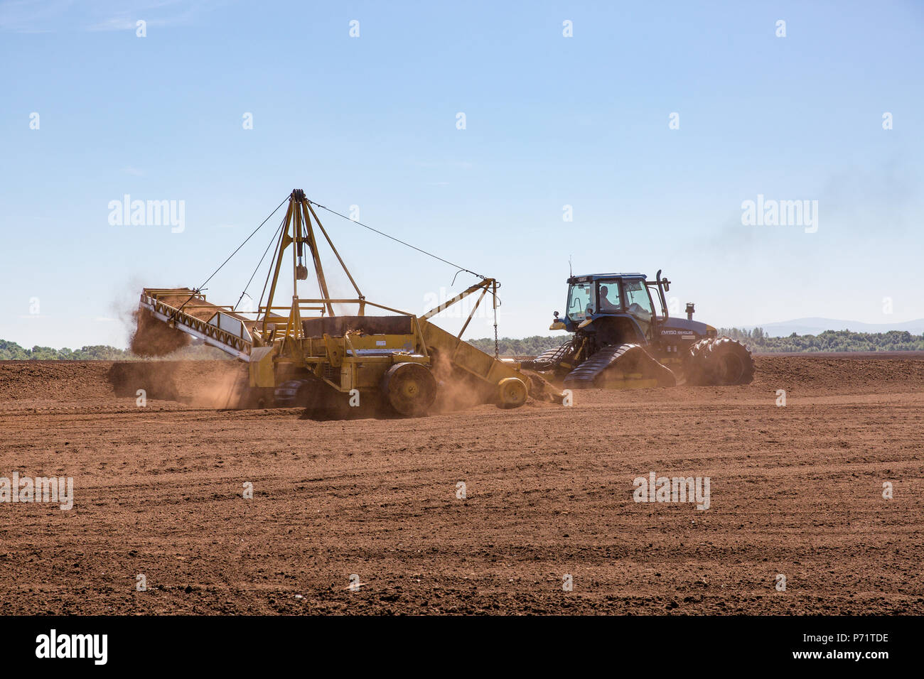 Agricultural tractor with harvester stockpiling loose milled peat ...