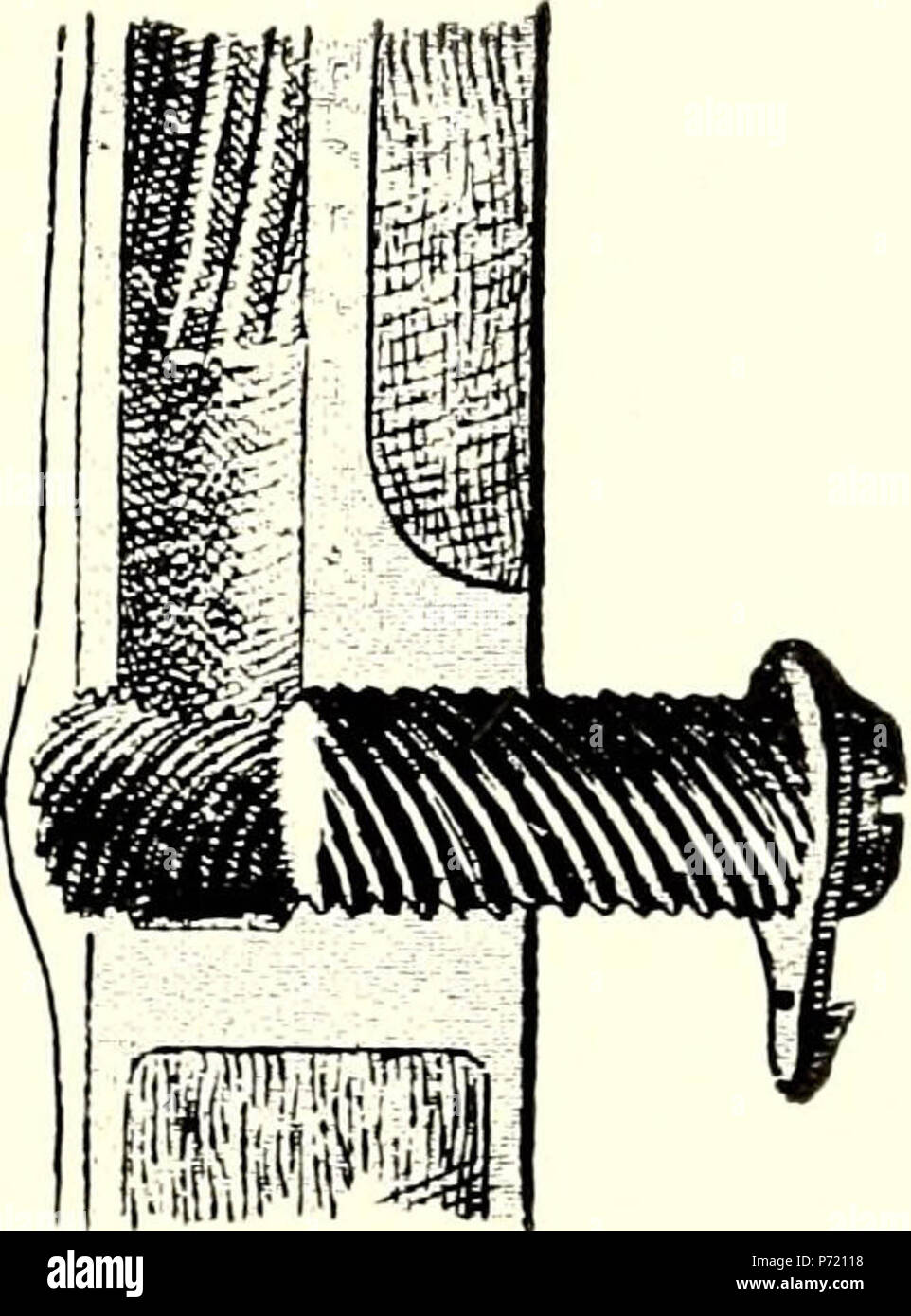 "The Ferguson family in Scotland and America" (1905 Stock Photo - Alamy