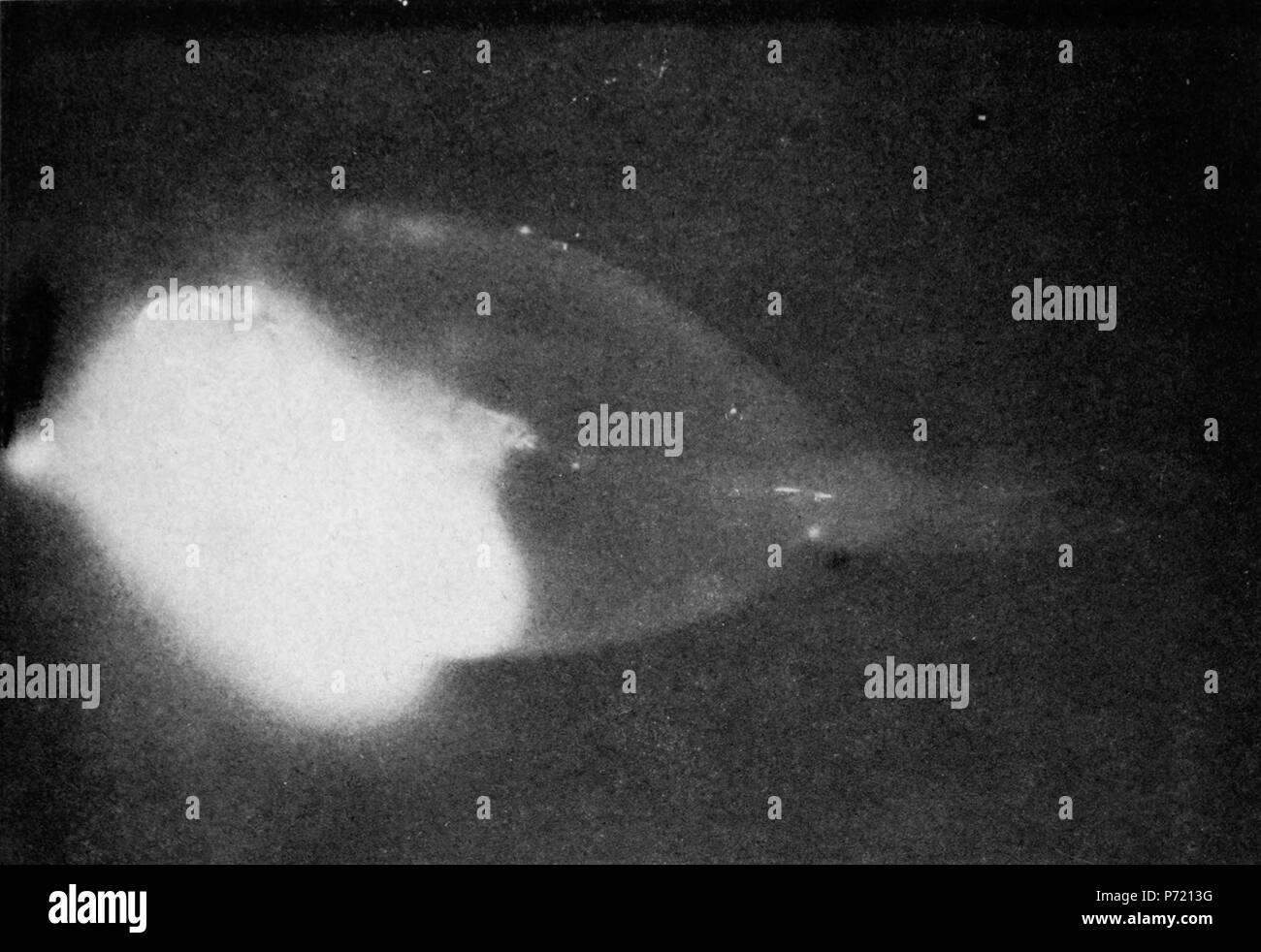 1946 bikini hi-res stock photography and images - Alamy