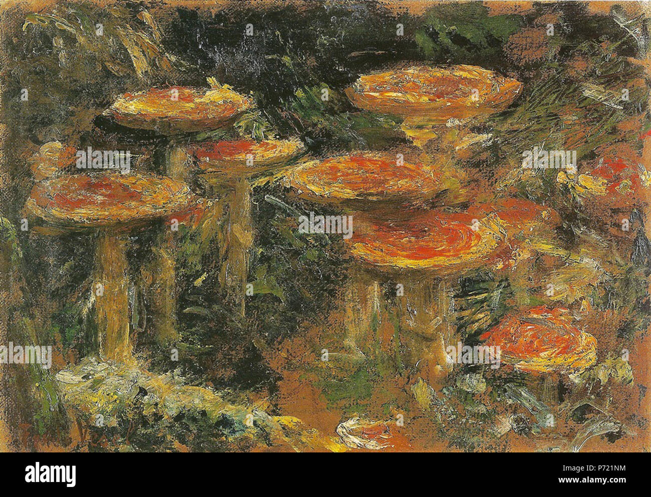 Ferdo hi-res stock photography and images - Alamy