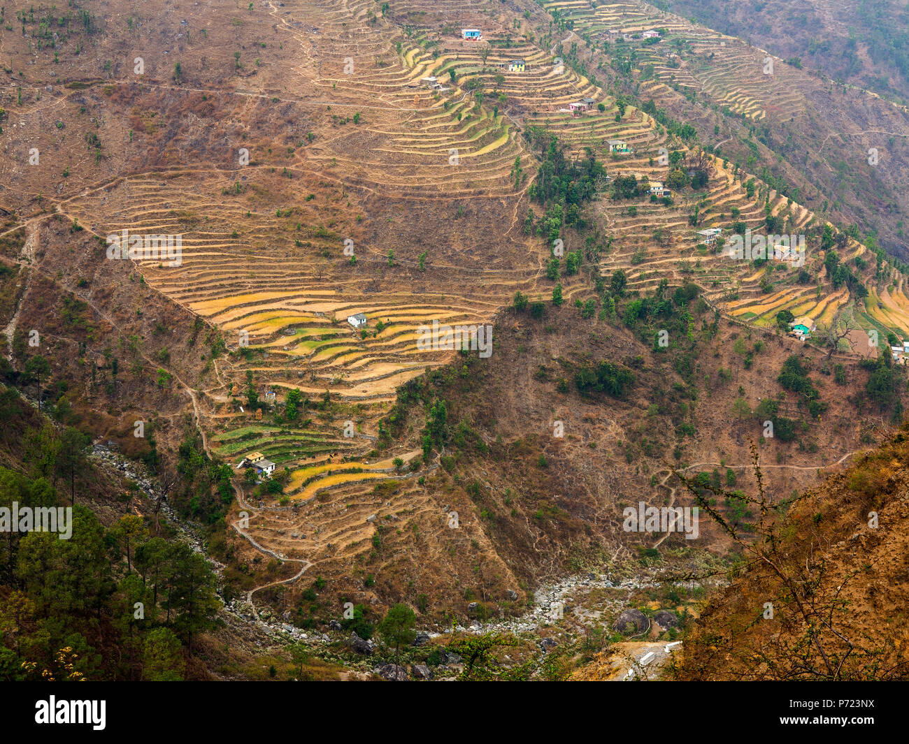 Terraced fields at Chamoli village near Kala Agar, Kumaon Hills ...