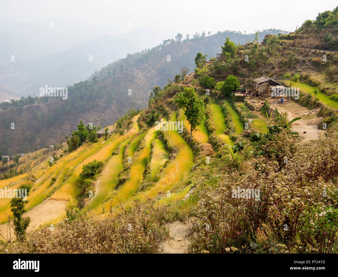 Chamoli village hi-res stock photography and images - Alamy