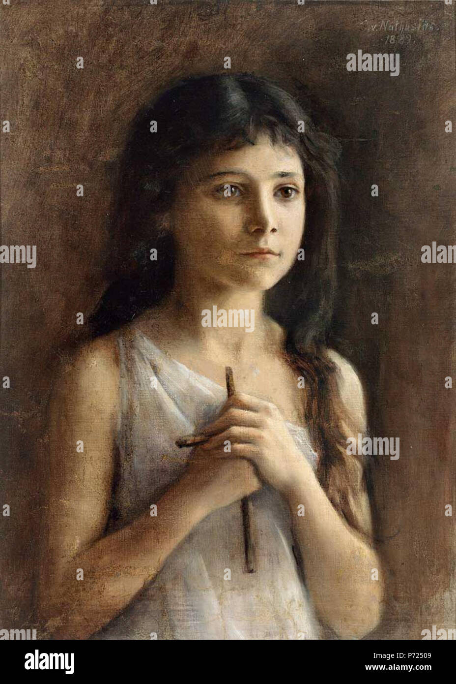 Nathusius hi-res stock photography and images - Alamy