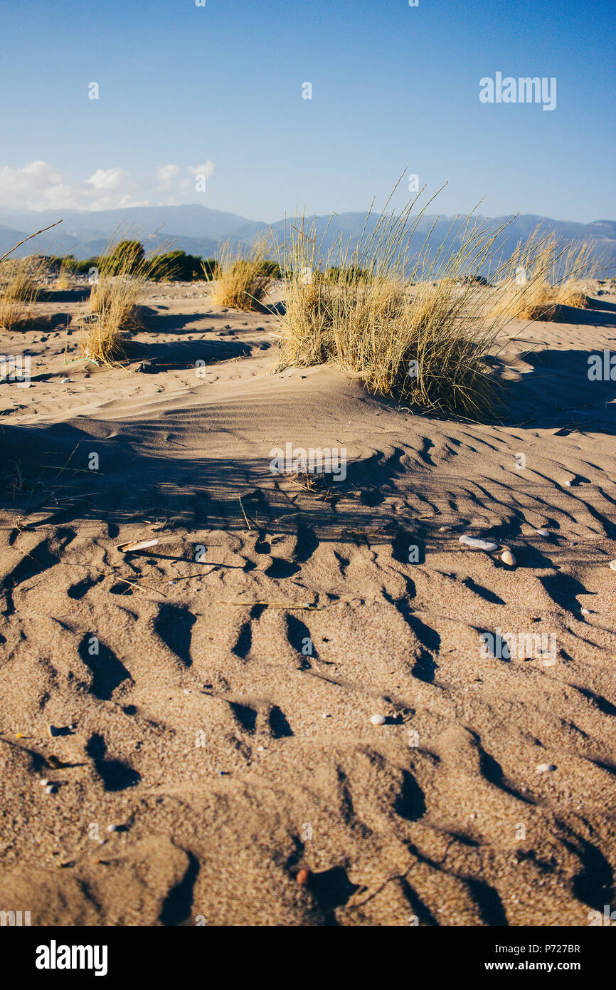 Desert beach sandy lanscape with plants and mountains in Turkey, Demre ...