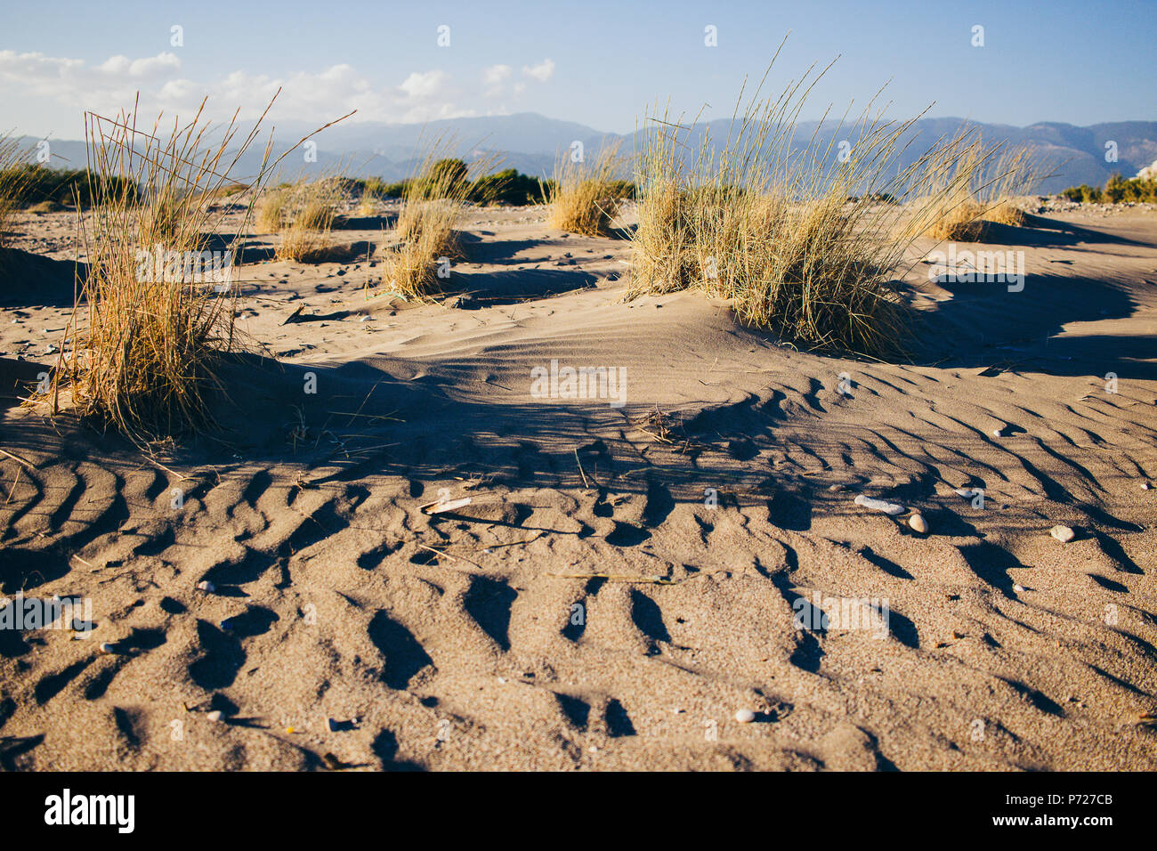 What plants grow in turkey hi-res stock photography and images - Alamy