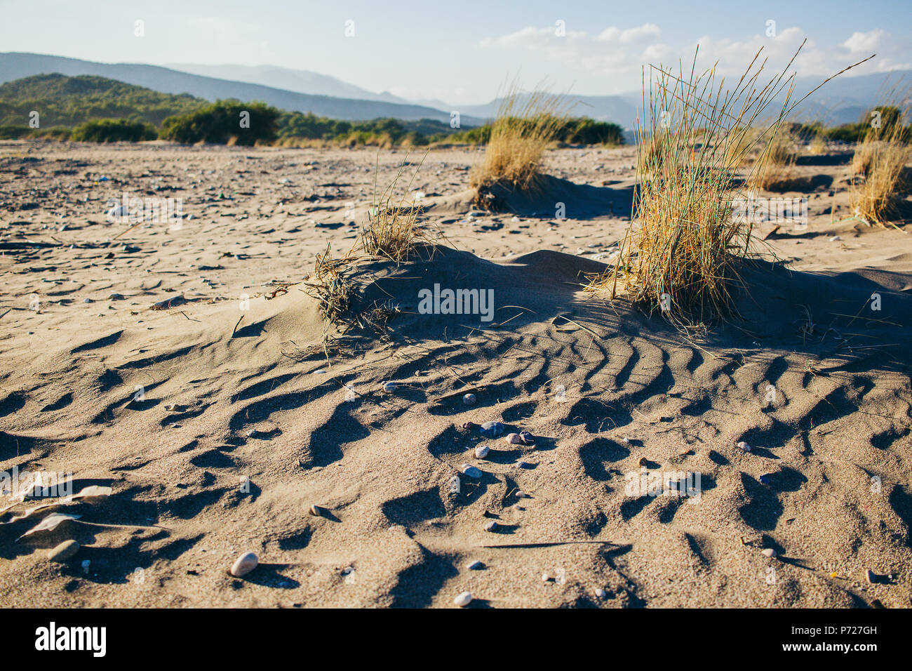 What plants grow in turkey hi-res stock photography and images - Alamy