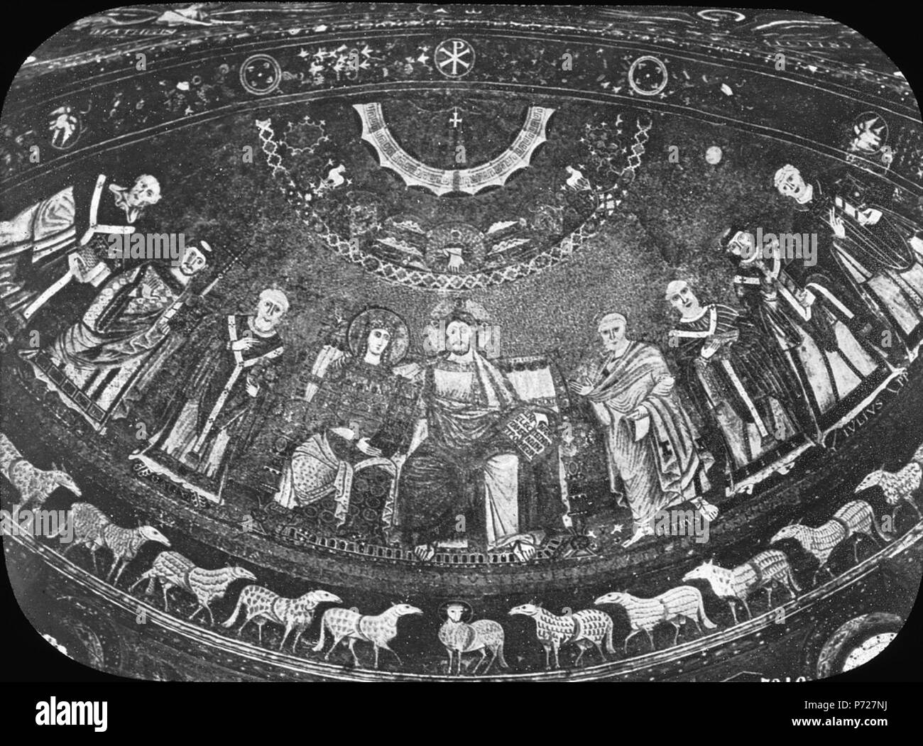 Family salicaceae Black and White Stock Photos & Images - Alamy