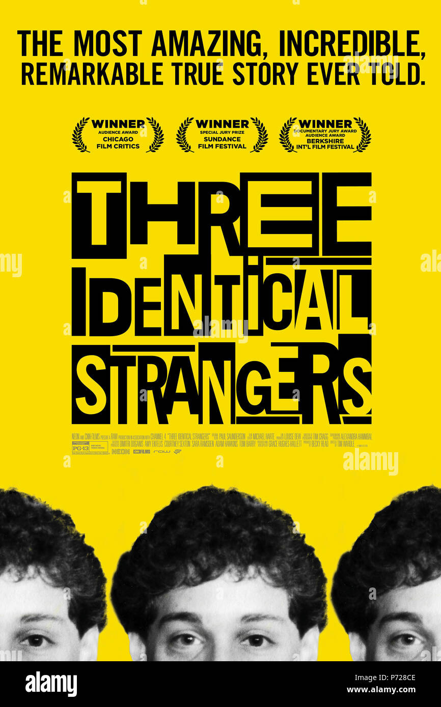 THREE IDENTICAL STRANGERS, US poster, l-r: Robert Shafran, David ...