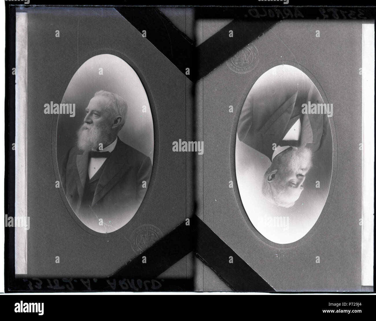 Arnell hi-res stock photography and images - Alamy