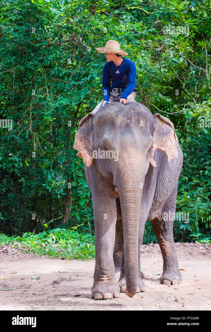 Man riding an elephant hi-res stock photography and images - Alamy