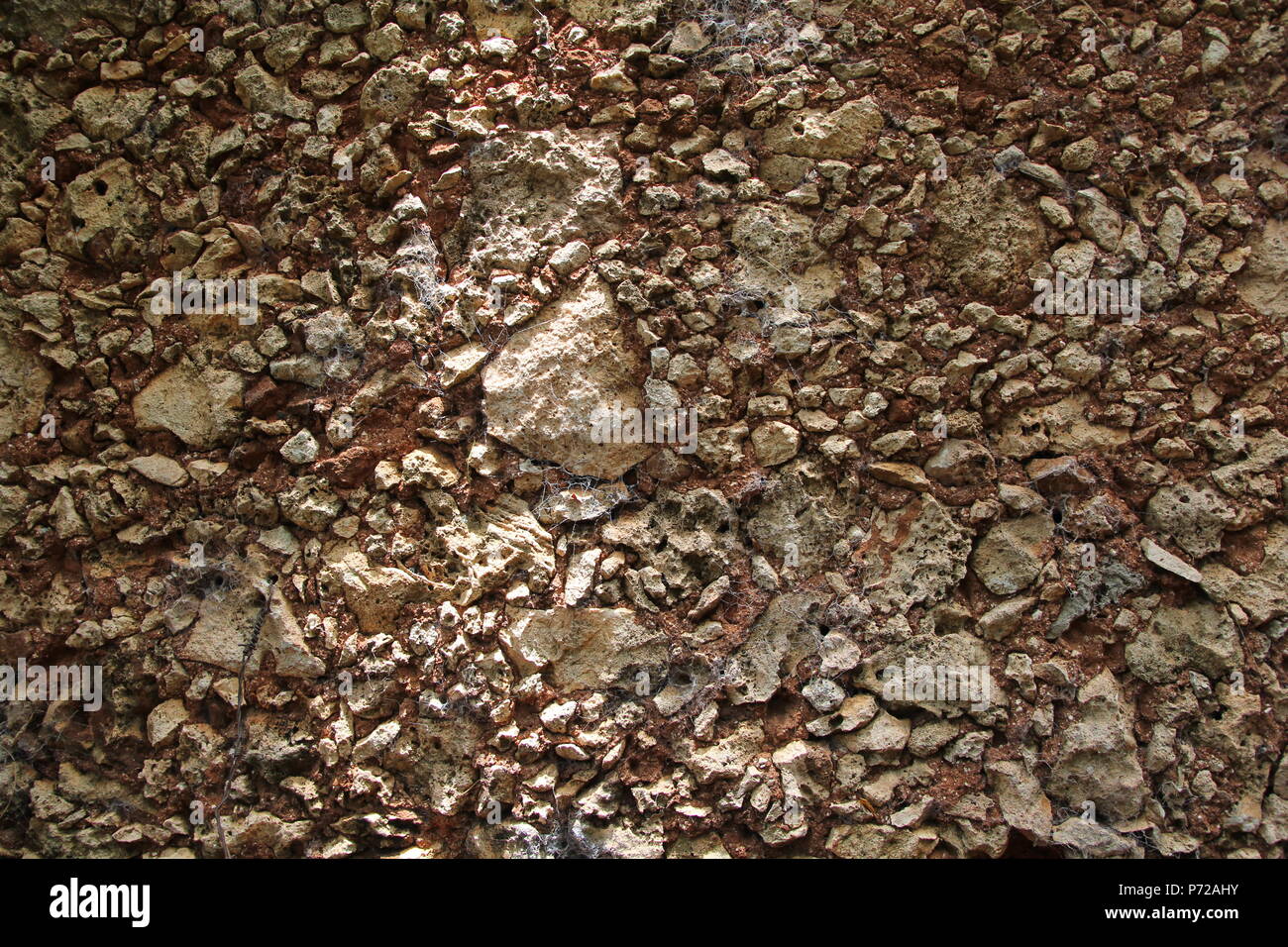 Shell stone texture. background shell rock Stock Photo - Alamy