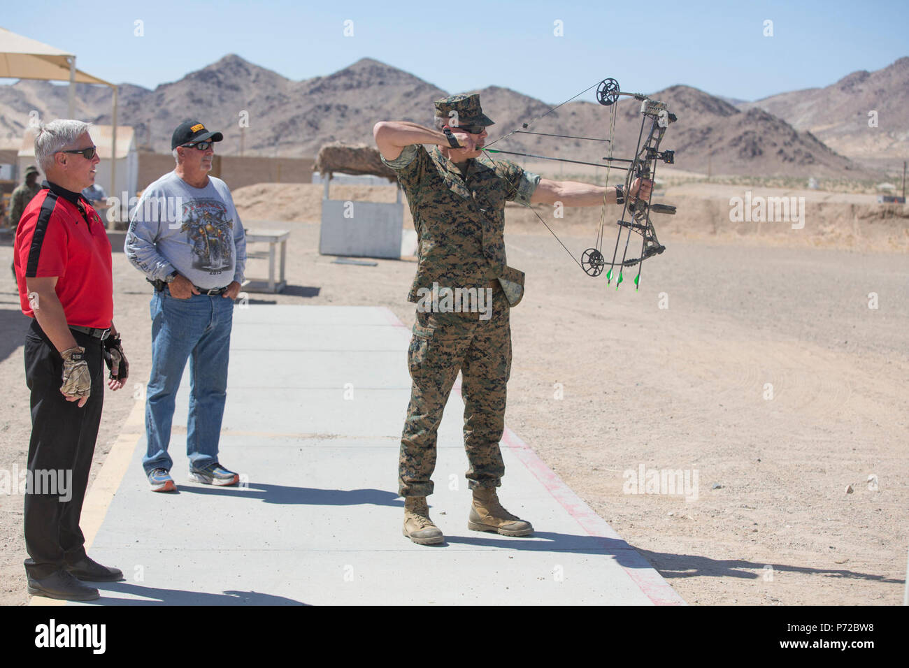 Make the stumps better hi-res stock photography and images - Alamy