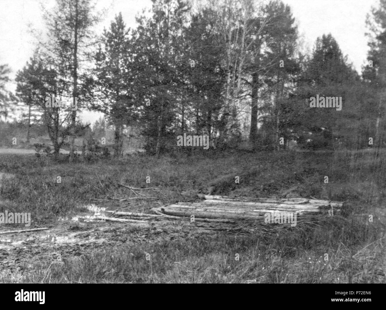English: The not identified grave site of Nicholas II, his family and ...