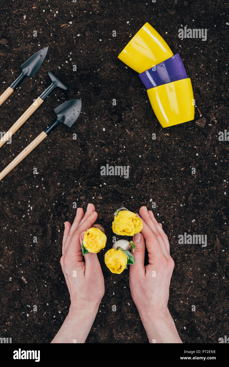 Planting pots in ground hi-res stock photography and images - Alamy