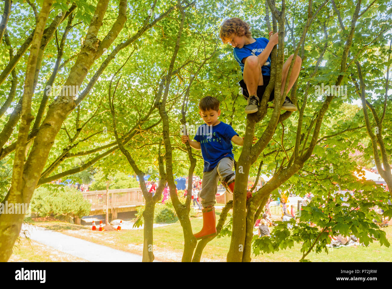 Boys having hi-res stock photography and images - Alamy
