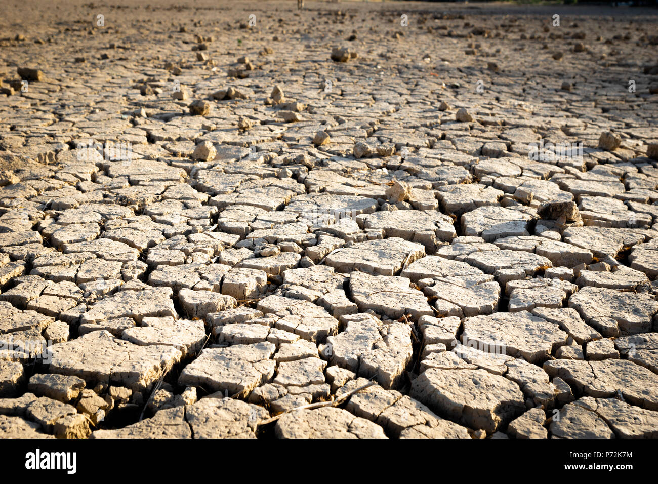 Cracked earth due to drought / River dried up, showing environmental ...