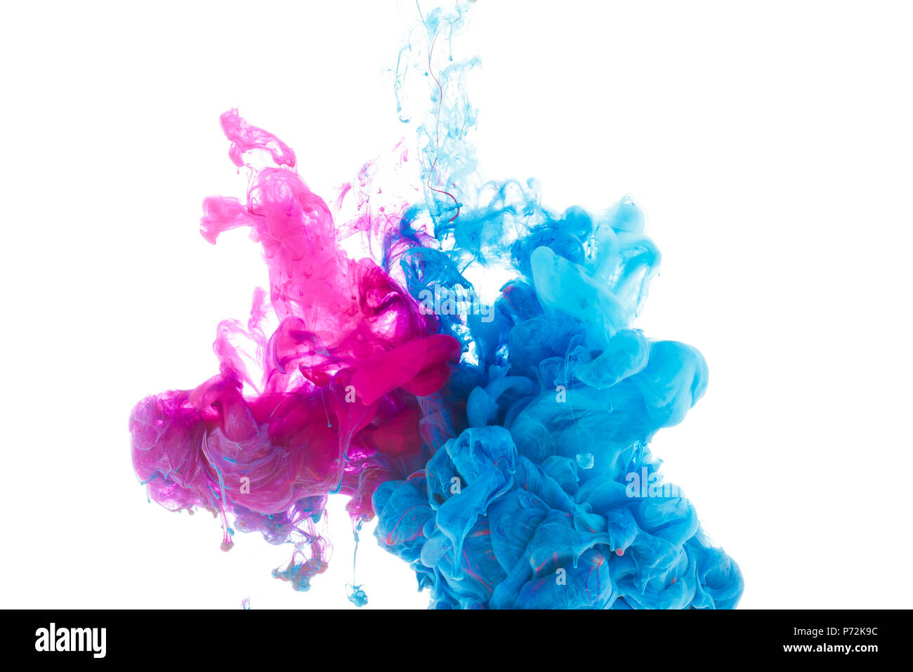 mixing of blue and pink paint splashes isolated on white Stock Photo ...